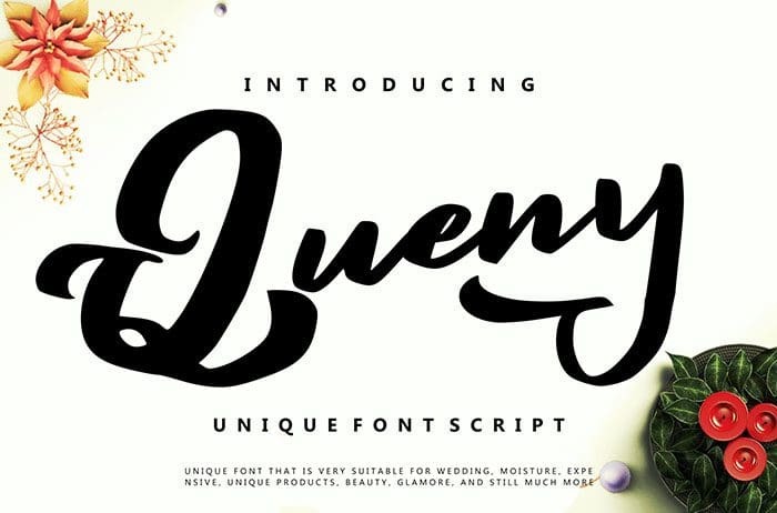 Queny Script Font