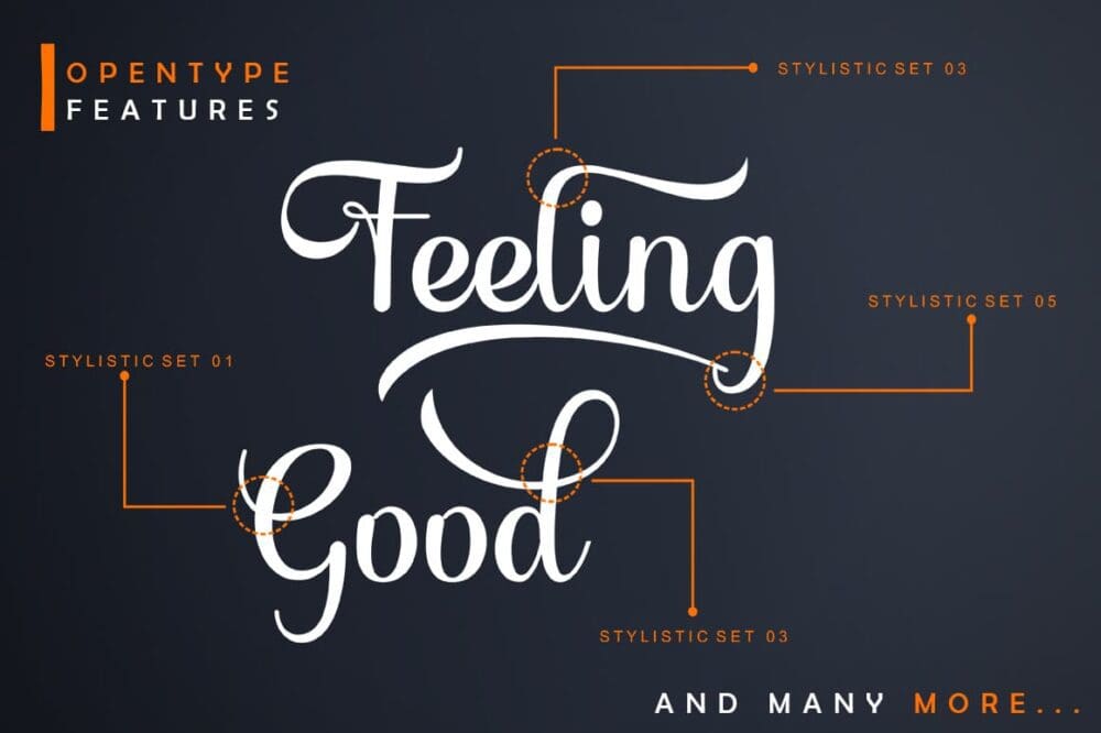 The Nightfall Script Font