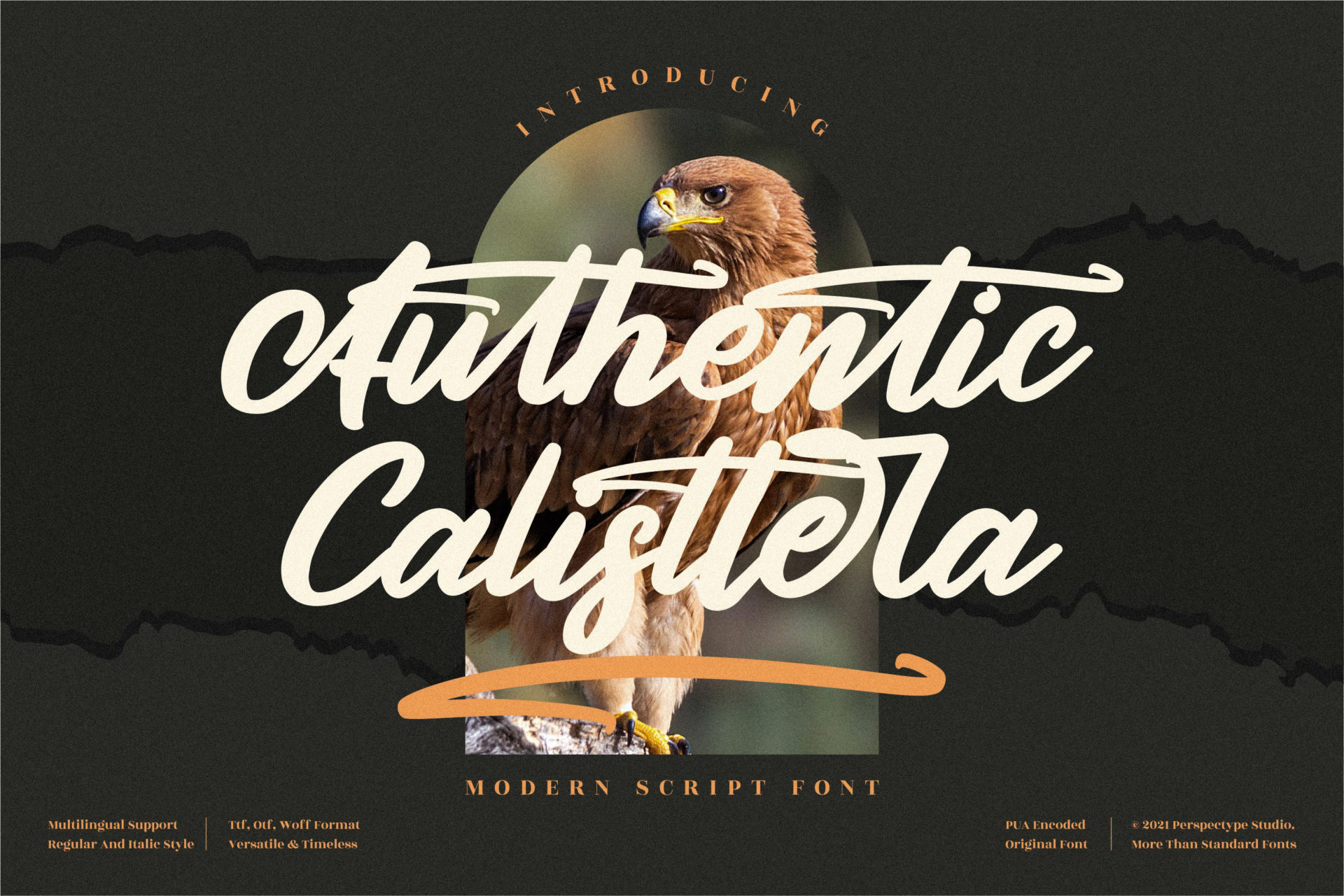 Authentic Calisttera Script Font Free Download - Fancy Fonts