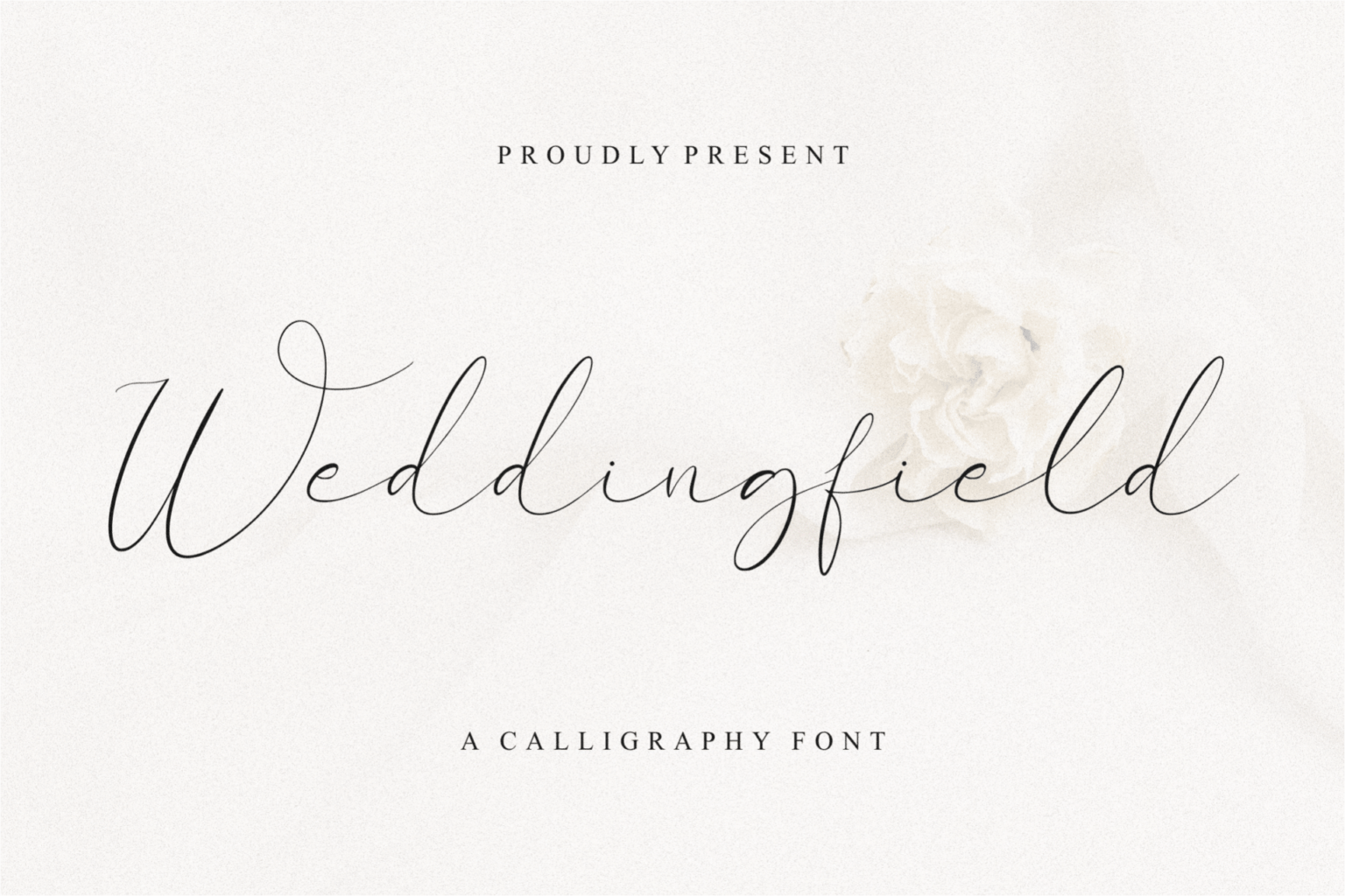 Angellica Modern Calligraphy Font