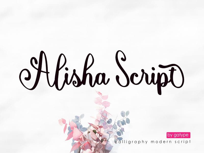 Alisha Font