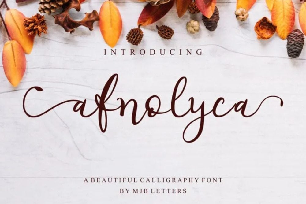 330+ Best Free Calligraphy Fonts